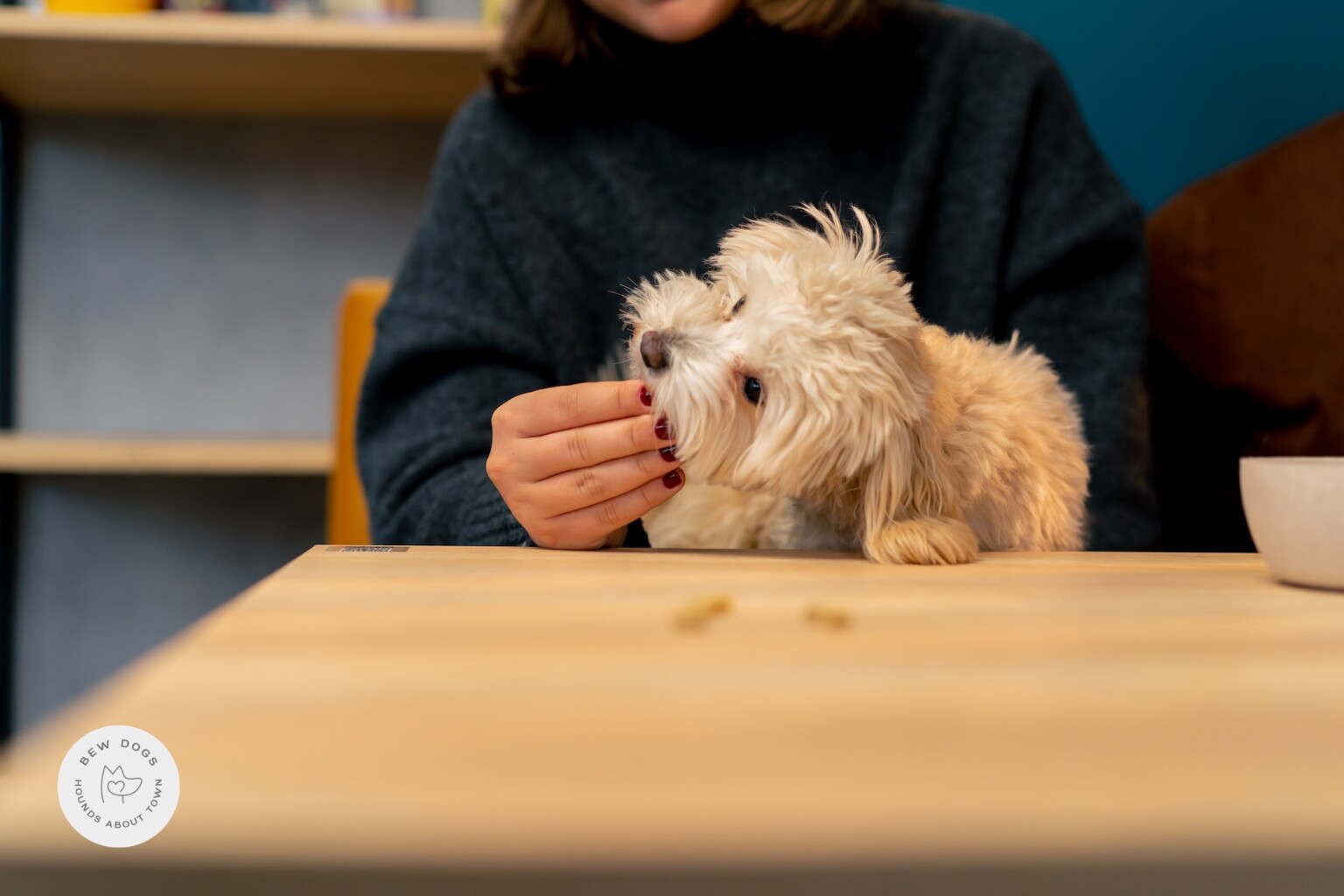 Can Dogs Eat Sweetcorn? A Comprehensive Guide to Safe Feeding