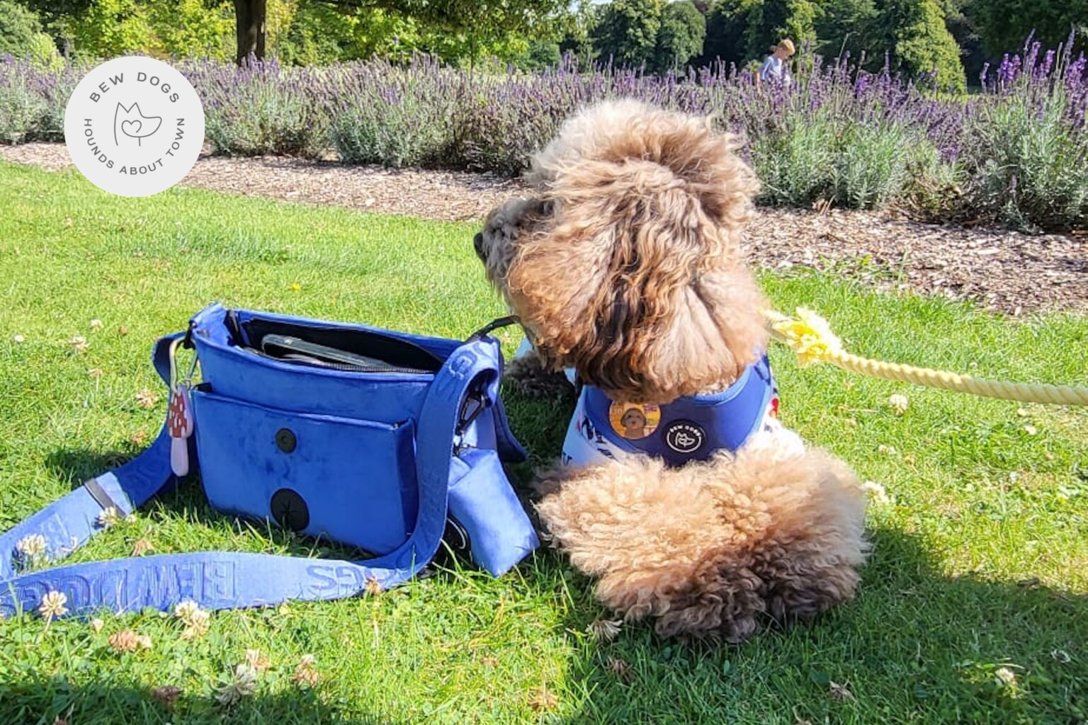 Dog Walking Bag Essentials: Must-Have Items for a Stress-Free Walk